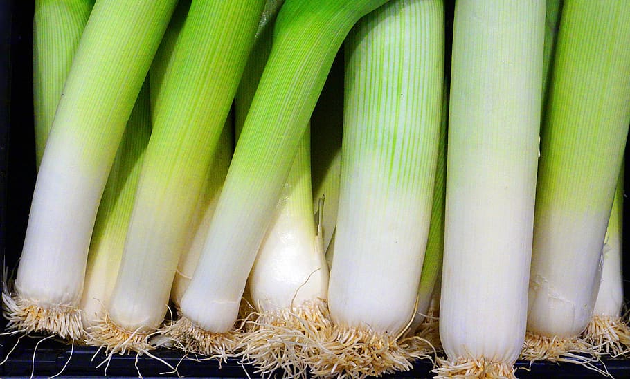 1000 Texas Early Grano Onion - Heirloom Non-GMO Onion Seeds - FAST ...